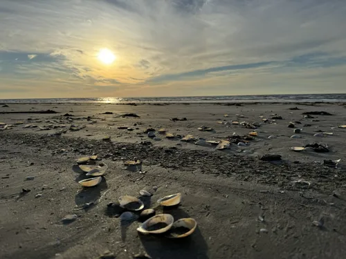 Best Hikes and Trails in Sea Rim State Park | AllTrails