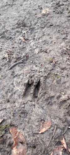 Best Hikes and Trails in Dan Patterson Conservation Area | AllTrails