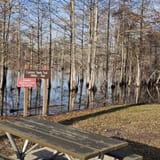 Sam Houston Jones State Park Loop, Louisiana - 51 Reviews, Map | AllTrails