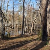 Sam Houston Jones State Park Loop, Louisiana - 51 Reviews, Map | AllTrails