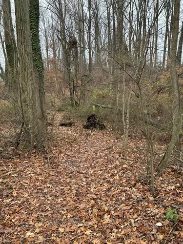 Best Hikes and Trails in Runnemede Lake Park | AllTrails