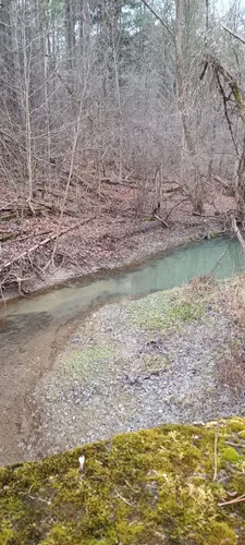 Best Hikes and Trails in Dan Patterson Conservation Area | AllTrails