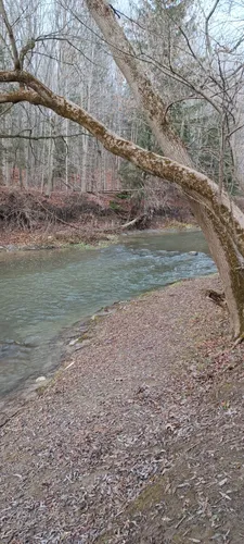 Best Hikes and Trails in Dan Patterson Conservation Area | AllTrails