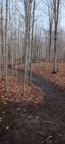 Best Hikes and Trails in Dan Patterson Conservation Area | AllTrails