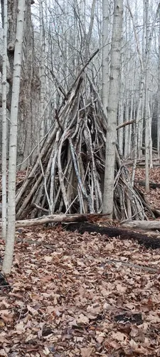 Best Hikes and Trails in Dan Patterson Conservation Area | AllTrails