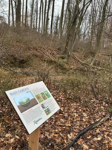 Best Hikes and Trails in Runnemede Lake Park | AllTrails