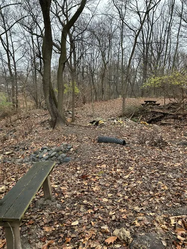 Best Hikes and Trails in Runnemede Lake Park | AllTrails