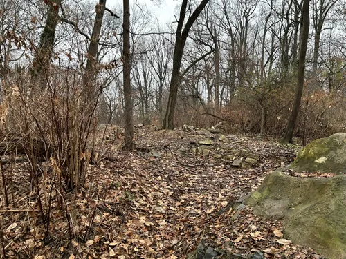 Best Hikes and Trails in Runnemede Lake Park | AllTrails