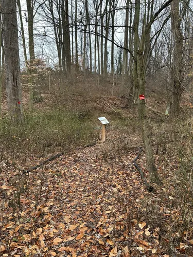 Best Hikes and Trails in Runnemede Lake Park | AllTrails