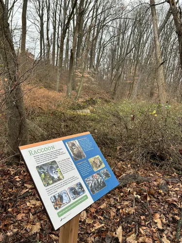 Best Hikes and Trails in Runnemede Lake Park | AllTrails