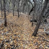 Good Water Loop, Texas - 775 Reviews, Map | AllTrails