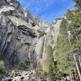 Sentinel Meadow Cook's Meadow Loop Trail, California - 2,858 Reviews ...