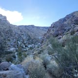 Cahuilla Canyon Trail, California - 550 Reviews, Map | AllTrails