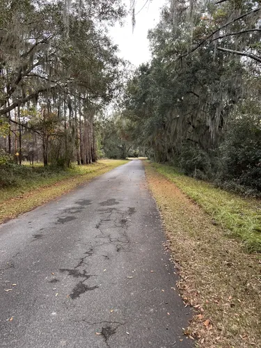 Best Hikes and Trails in Harris Neck National Wildlife Refuge | AllTrails