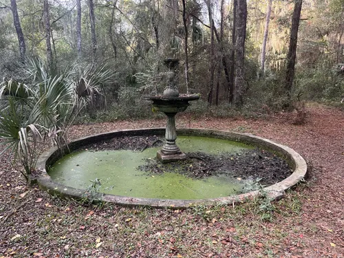 Best River Trails in Townsend | AllTrails