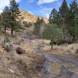 East Fork Carson River Hot Springs via Leviathan Mine Road, Nevada - 47 ...