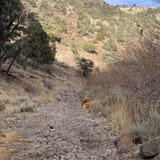East Fork Carson River Hot Springs via Leviathan Mine Road, Nevada - 47 ...