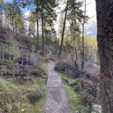Tubbs Hill, Idaho - 3,854 Reviews, Map | AllTrails