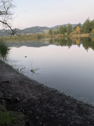 Best Hikes and Trails in Howarth Memorial Park | AllTrails