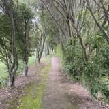 Newstead Walkway, Waikato, New Zealand - 32 Reviews, Map | AllTrails