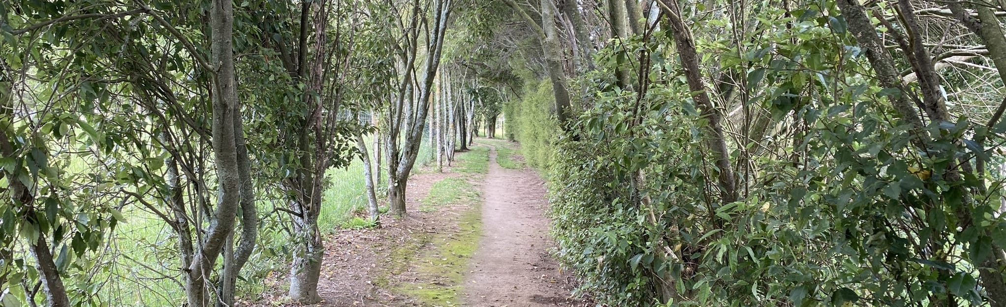 Newstead Walkway, Waikato, New Zealand - 29 Reviews, Map | AllTrails
