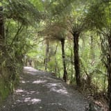 Newstead Walkway, Waikato, New Zealand - 32 Reviews, Map | AllTrails