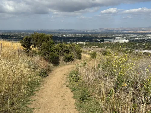 10 Best Trails and Hikes in Irvine | AllTrails