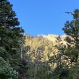 Bonanza Peak via Spring Mountain Divide Trail, Nevada - 312 Reviews ...