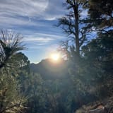 Bonanza Peak via Spring Mountain Divide Trail, Nevada - 312 Reviews ...