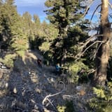 Bonanza Peak via Spring Mountain Divide Trail, Nevada - 312 Reviews ...