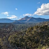 Datil Well Campground Outer Loop Trail, New Mexico - 61 Reviews, Map ...