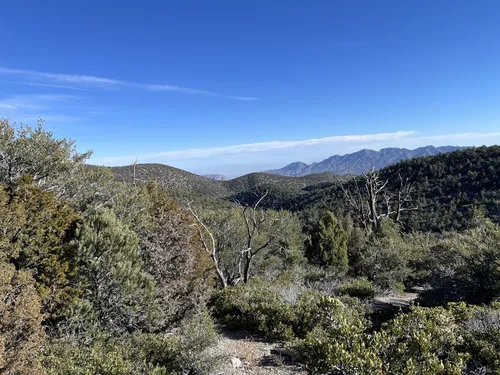 10 Best Hikes and Trails in Spring Mountains National Recreation Area ...