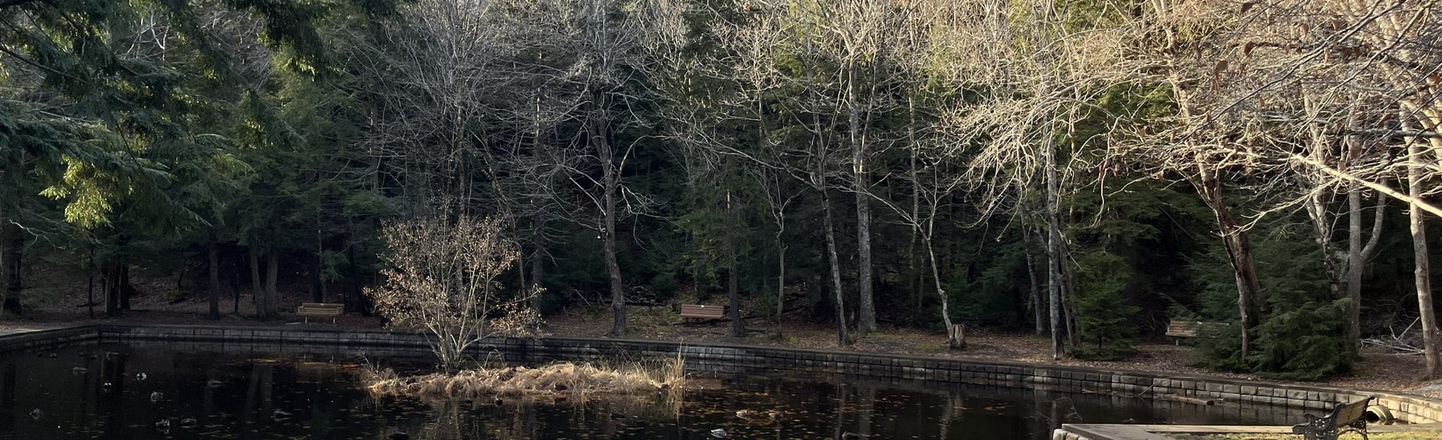 Hemlock Ravine Loop, Nova Scotia, Canada - 469 Reviews, Map | AllTrails