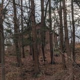 Norrie Point Trail, New York - 477 Reviews, Map | AllTrails