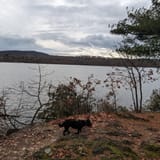 Norrie Point Trail, New York - 791 Reviews, Map | AllTrails