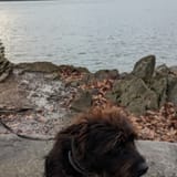 Norrie Point Trail, New York - 791 Reviews, Map | AllTrails