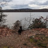 Norrie Point Trail, New York - 791 Reviews, Map | AllTrails