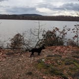 Norrie Point Trail, New York - 791 Reviews, Map | AllTrails