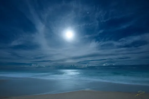 Best Hikes and Trails in Ocean Ridge Natural Area | AllTrails