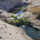 Second Water and Hackberry Spring Loop, Arizona - 1,852 Reviews, Map ...