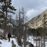 Cub Lake Loop, Colorado - 1,902 Reviews, Map | AllTrails