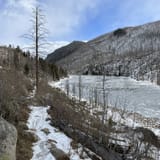 Cub Lake Loop, Colorado - 1,902 Reviews, Map | AllTrails
