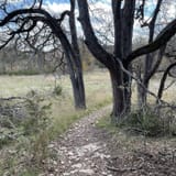 Good Water Loop, Texas - 775 Reviews, Map | AllTrails