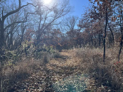 Best Hikes and Trails in Stemler Cave Woods Nature Preserve | AllTrails