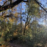 Old Flume Trail (Red Shack Trail), California - 753 Reviews, Map ...