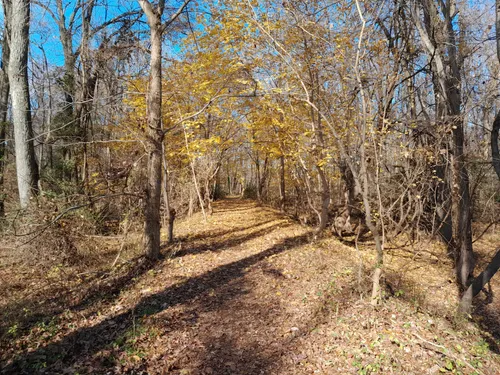 Best Views Trails in North Point State Park | AllTrails
