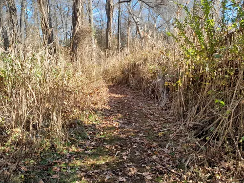 Best Views Trails in North Point State Park | AllTrails