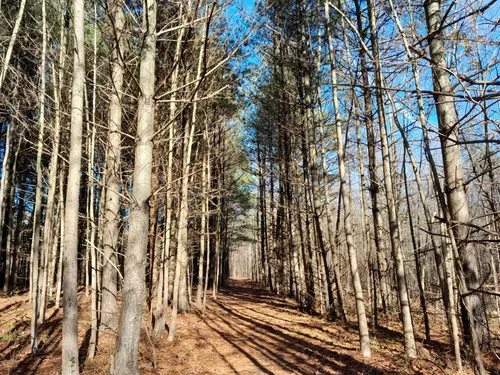 Best Views Trails in North Point State Park | AllTrails