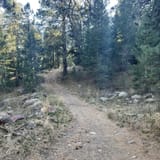 Shanahan Ridge Trail, Colorado - 2,987 Reviews, Map | AllTrails