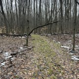Hungerford Lake Recreation Area Cross Country Ski Trails, Michigan ...